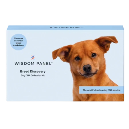 Wisdom Panel: Unraveling the Genetic Secrets of Your Pet - The Pet Picks