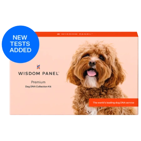 Wisdom Panel: Unraveling the Genetic Secrets of Your Pet - The Pet Picks