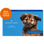 Wisdom Panel: Unraveling the Genetic Secrets of Your Pet - The Pet Picks