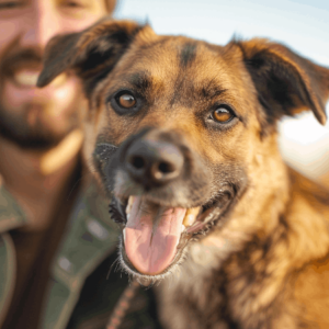 A Deep Dive into the Genetic Traits and Genetic Markers - The Pet Picks