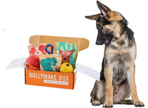 Bullymake Review: The Ultimate Dog Box for Power Chewers - The Pet Picks