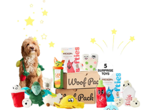 Woof Pack Review: Is This the Ultimate Dog Subscription Box for Your ...