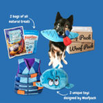 Woof Pack Review: Is This the Ultimate Dog Subscription Box for Your ...